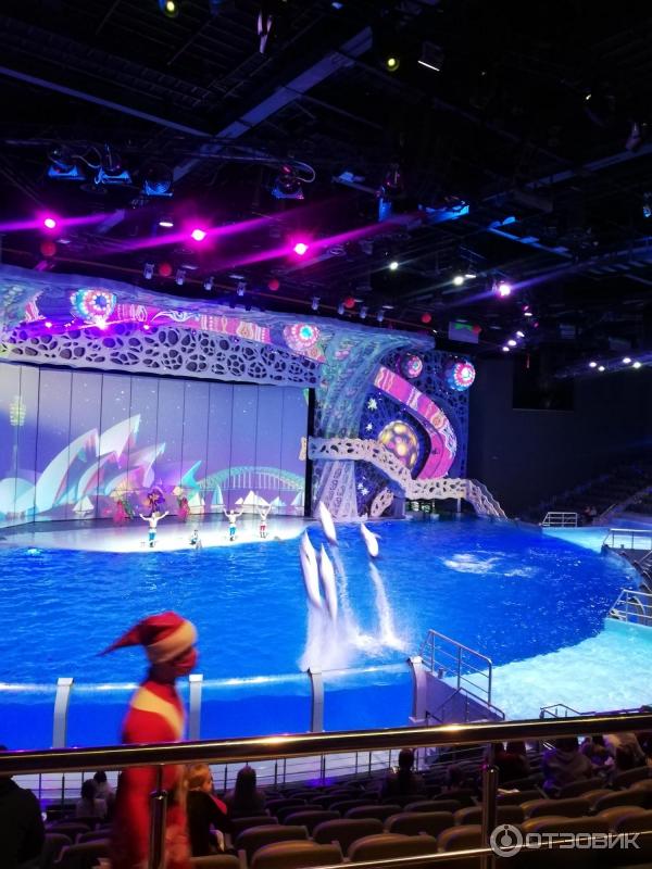 Отзыв о Шоу "Вокруг света за новый год" в Москвариуме (Россия, Москва ...