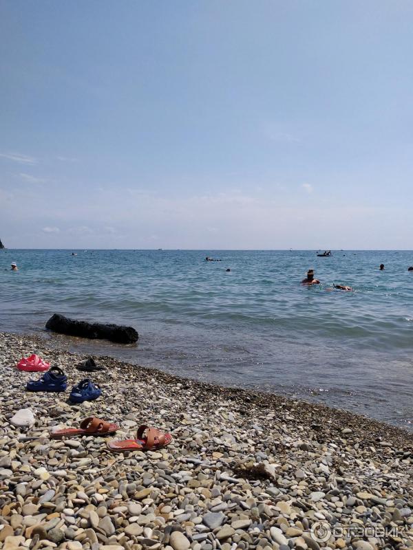 Отзыв о Отдых в пос. Новомихайловский (Россия, Туапсе) | Для ...