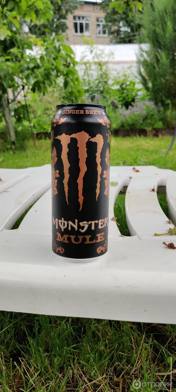 Отзыв о Энергетический напиток Monster Energy Mule Ginger Brew ...
