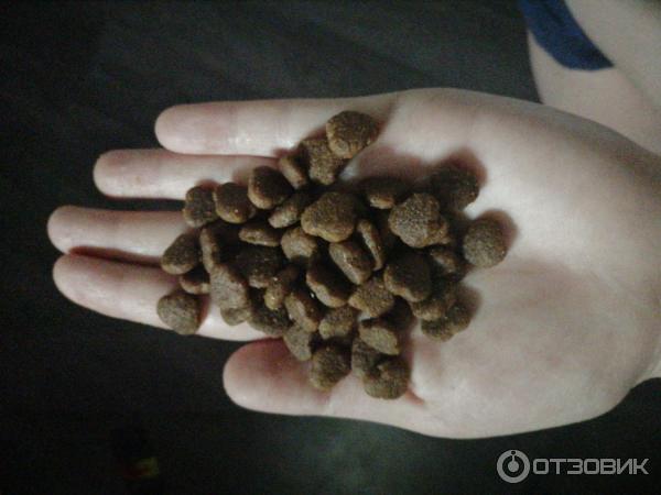 Отзыв о Сухой корм для кошек Sirius "Мясной рацион" | Кошки не едят