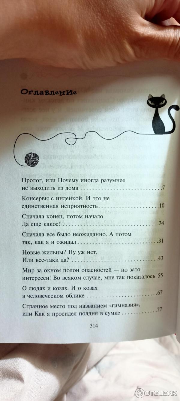 Отзыв о Книга "Приключения кота-детектива" - Фрауке Шойнеманн | 7 ...