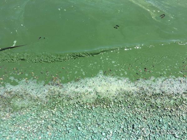 Отзыв о Отдых в г. Таганрог (Россия, Ростовская область) | Люди ,все ...