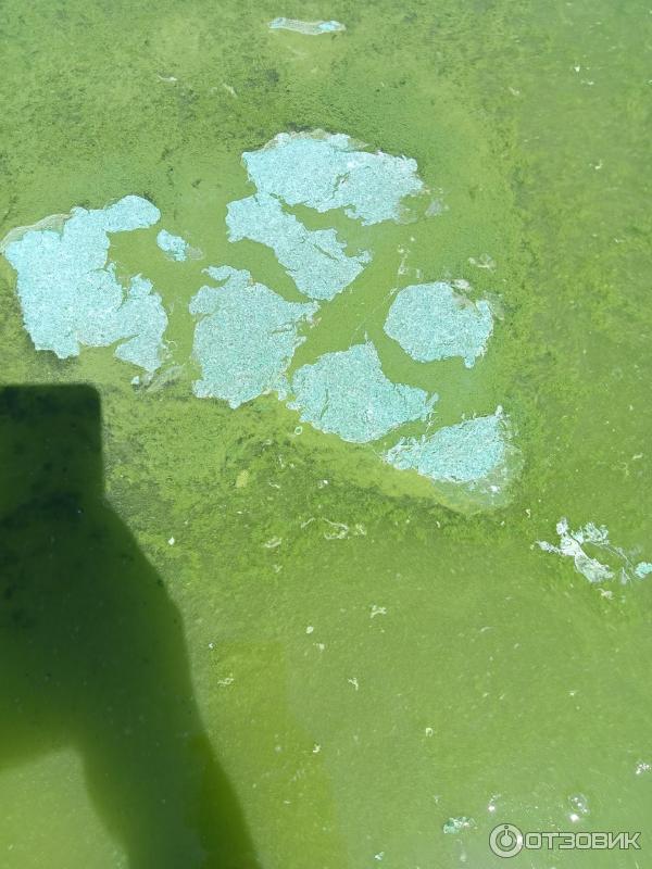 Отзыв о Отдых в г. Таганрог (Россия, Ростовская область) | Люди ,все ...