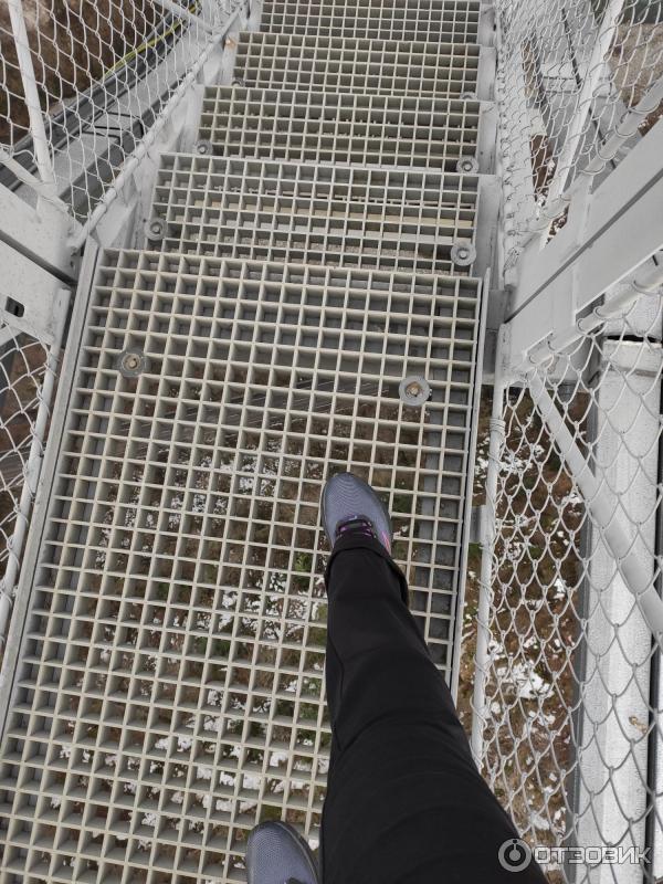 Отзыв о Скайпарк AJ Hackett Sochi (Россия, Сочи) | Великолепные виды в ...