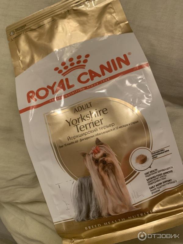 Отзыв о Корм для йоркширских терьеров Royal Canin | Корм зашел на ...