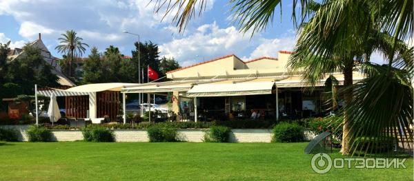Отзыв о Пляж Coppa Beach Club & Lounge (Турция, Сиде) | Лучший пляж ...