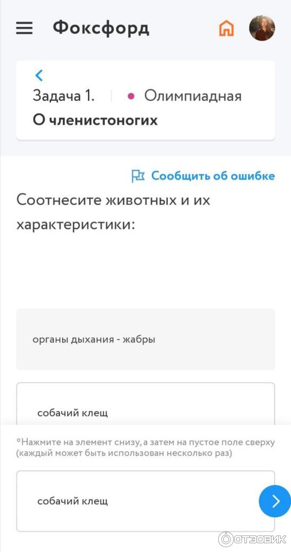 Отзыв о Foxford.ru - центр онлайн обучения | Готовимся тут к ОГЭ. Впечатлений много.
