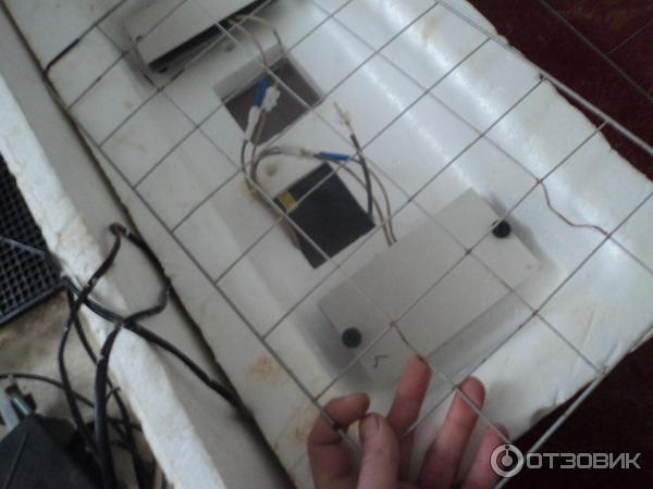 Отзыв о Инкубатор бытовой Несушка БИ-1 | Слепили на коленке.